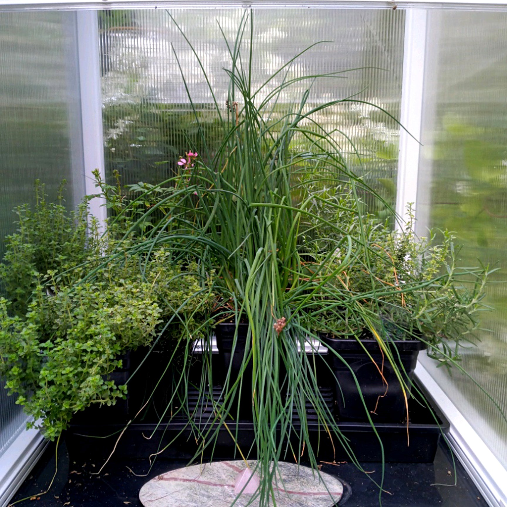 Ponix MicroAg - Welcome!